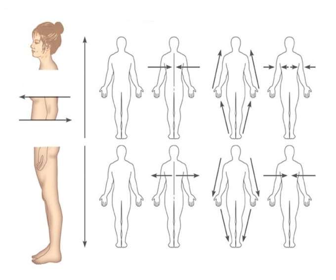 Definitions In Anatomy And Physiology Definitions In Anatomy And Physiology